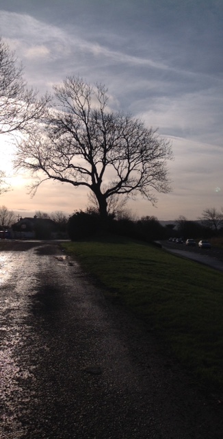 The Troubled History of The Crooked Tree – Reviews Rants and Rambles