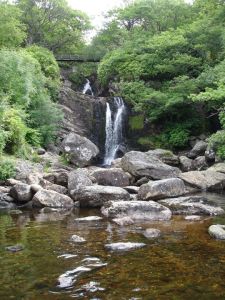 An Analysis of Inversnaid by Gerard Manley Hopkins – Reviews Rants and ...